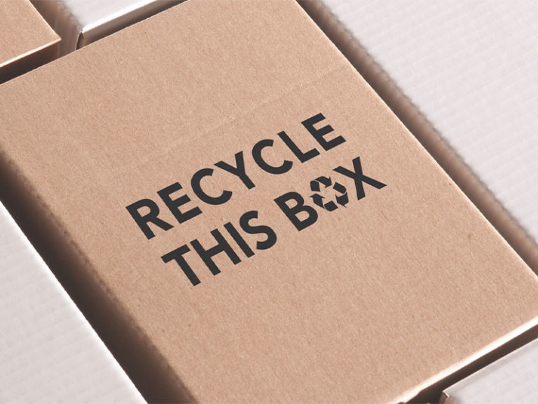 Paper Recycling Explained